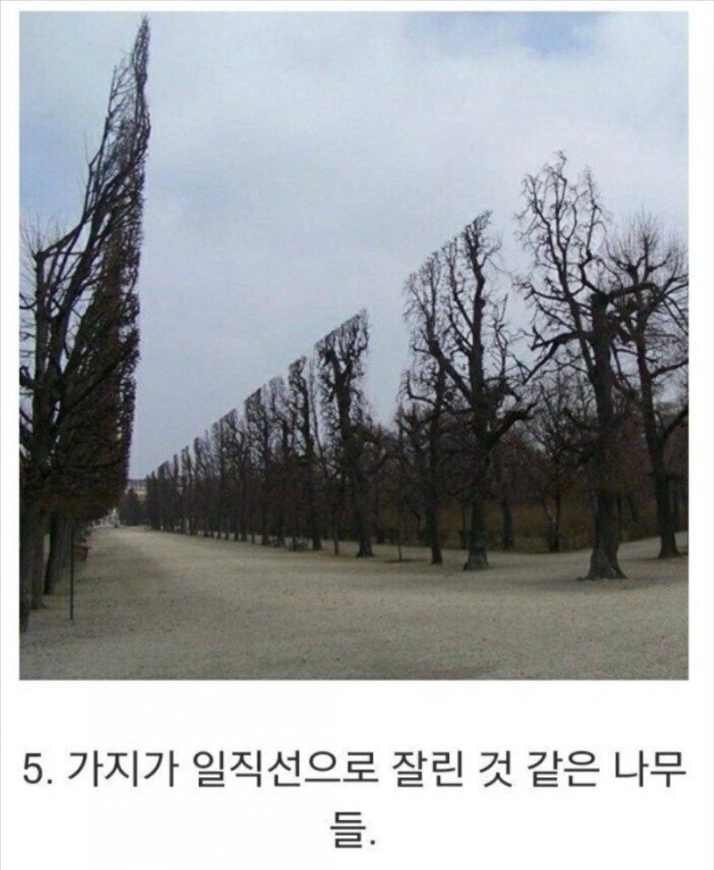 잇싸 - 신기한 사진들 모음